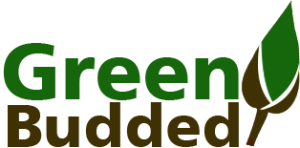 Groundhog Poop: Identification and Everything you need to know